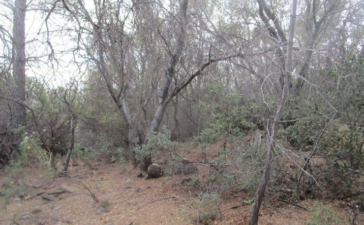 15729 Keson Place, Grass Valley, CA 95949 | Crexi.com