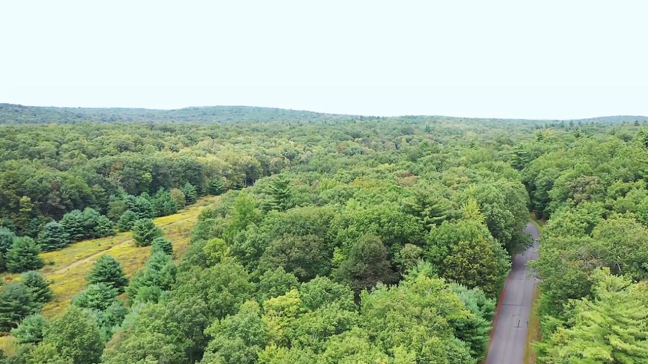 62QQ+W9H Wild Acres, Pennsylvania, USA, Wild Acres, PA 18328 | Crexi.com