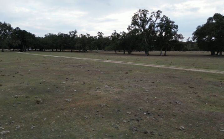 28782 Old CC Rd, Albany, LA 70711 | Crexi.com