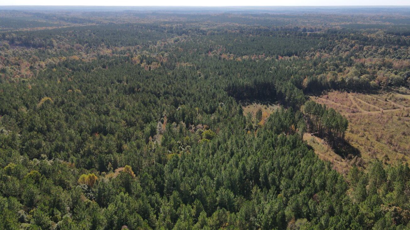 0 Hilley Rd, Crawfordville, GA 32327 | Crexi.com