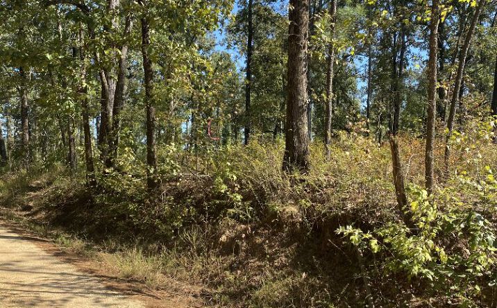 W Rowell Rd, Rowell, AR 71665 | Crexi.com