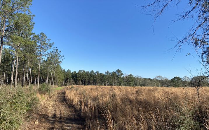 217 N Slade Road, Sumrall, MS 39482 | Crexi.com