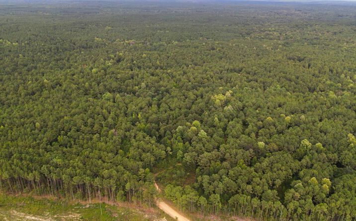 0 Tract A Rogers Rd, Saint Francisville, LA 70775 | Crexi.com