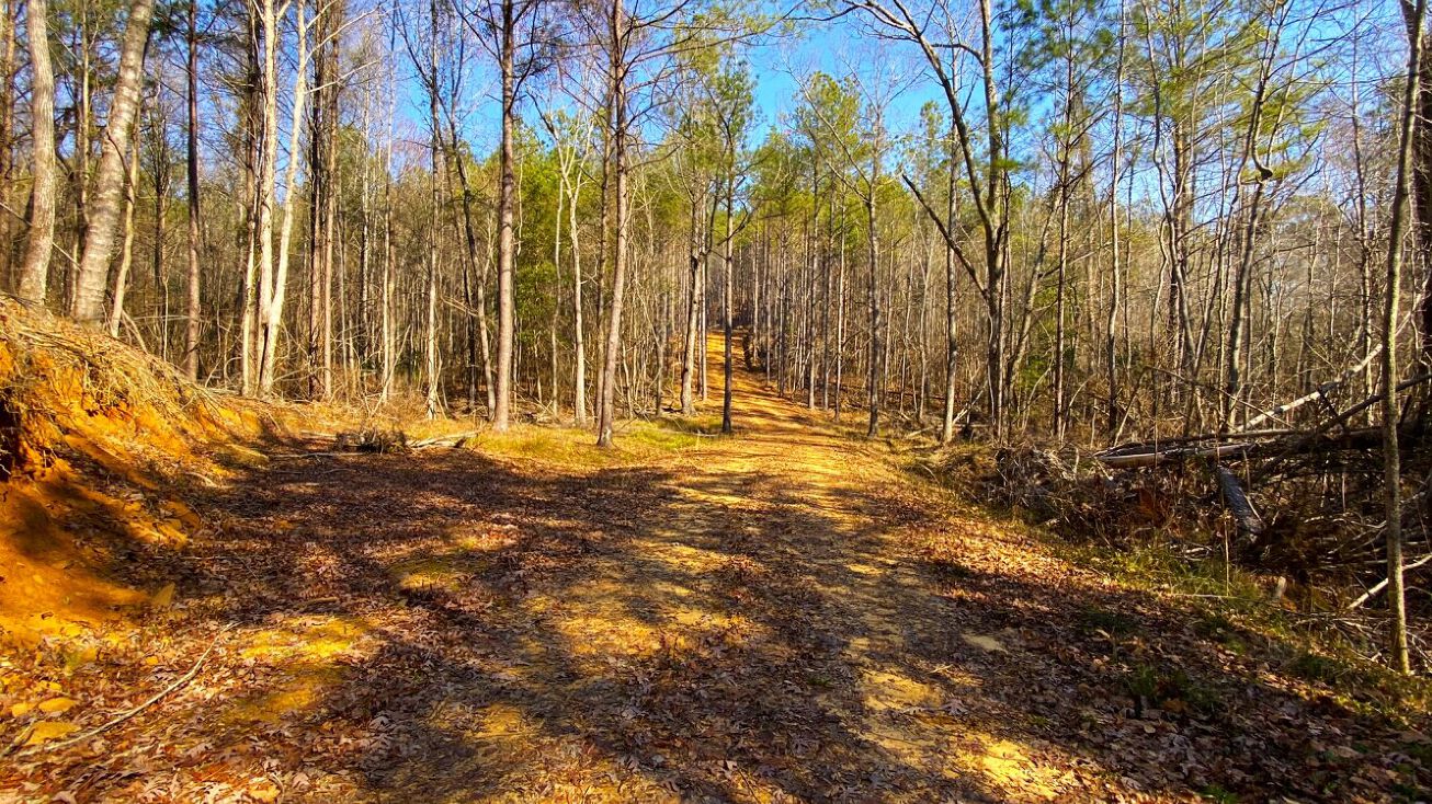 0 Springer Road, Elrod, AL 35458 | Crexi.com