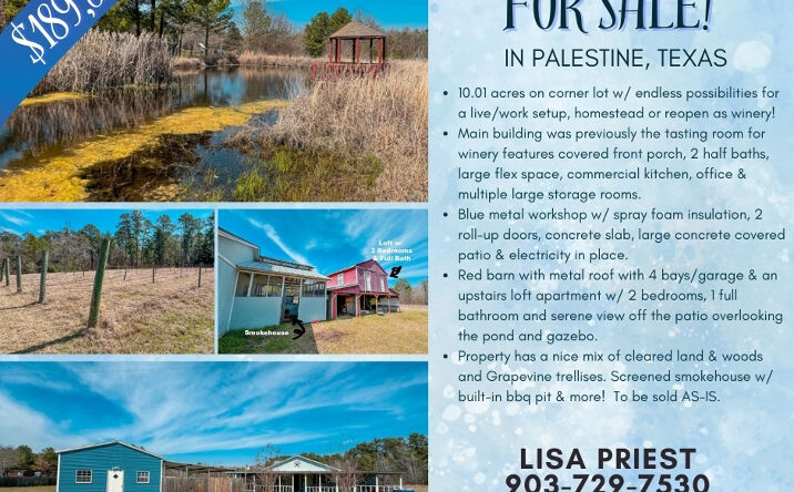 2442 ANDERSON COUNTY RD Palestine TX 75801 APN: 851130 | Crexi.com