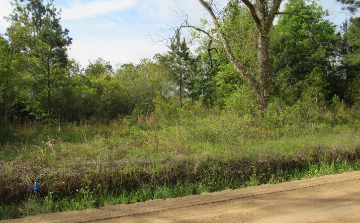 Harmony Rd, Meigs, GA 31765 | Crexi.com