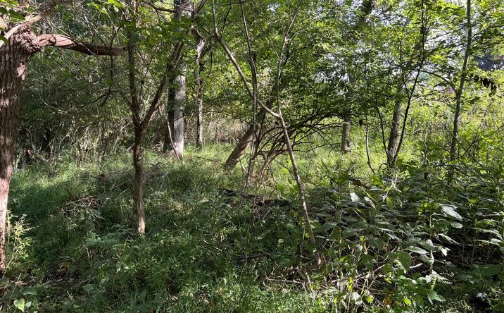 Repp Rd, Plum, PA 15068 | Crexi.com