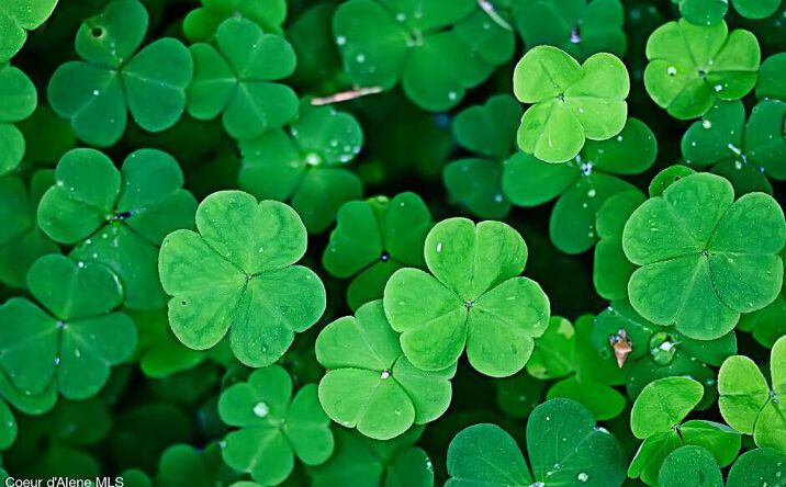 601 W APPLEWAY AVE, Coeur d'Alene, ID 83815 | Crexi.com