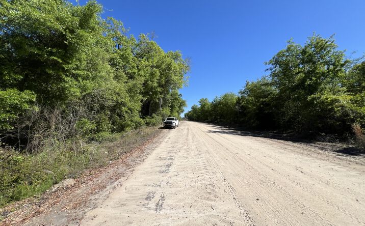 0 Pilgram Church Road, Gordon, AL 36343 | Crexi.com