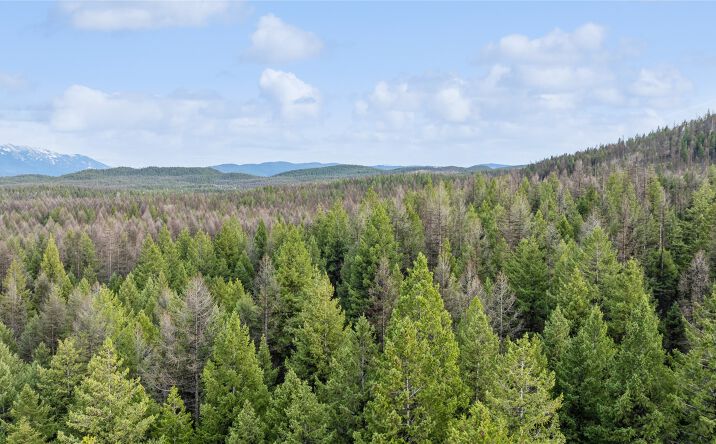 320 Silver Spur Trail, Fortine, MT 59918 | Crexi.com