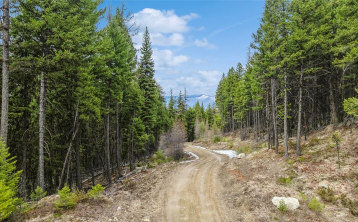 418 Coyote Ridge Pass Road, Fortine, MT 59918 | Crexi.com