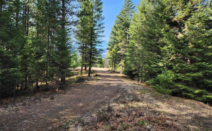 NHN Camp View Drive, Troy, MT 59935 | Crexi.com