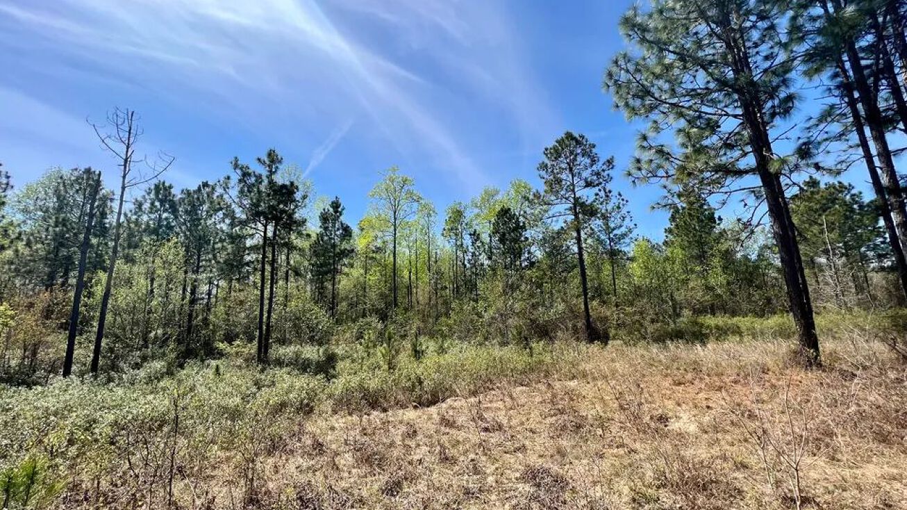 US-280, Cordele, GA 31015 | Crexi.com