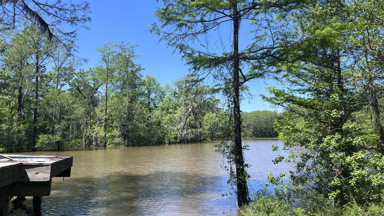 0 John Lowery Rd, Jay, FL 32565 | Crexi.com