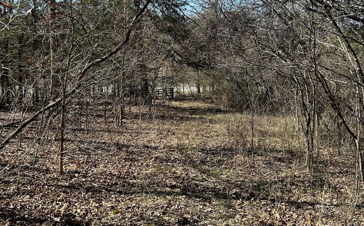 000 Y Highway, Couch, MO 65690 | Crexi.com