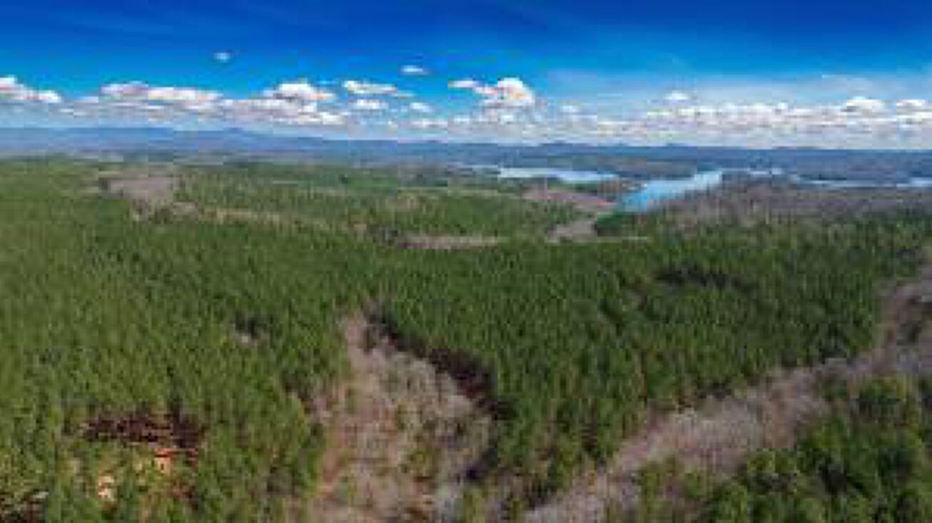 0 Nimmons Bridge Road, Salem, SC 29676 | Crexi.com