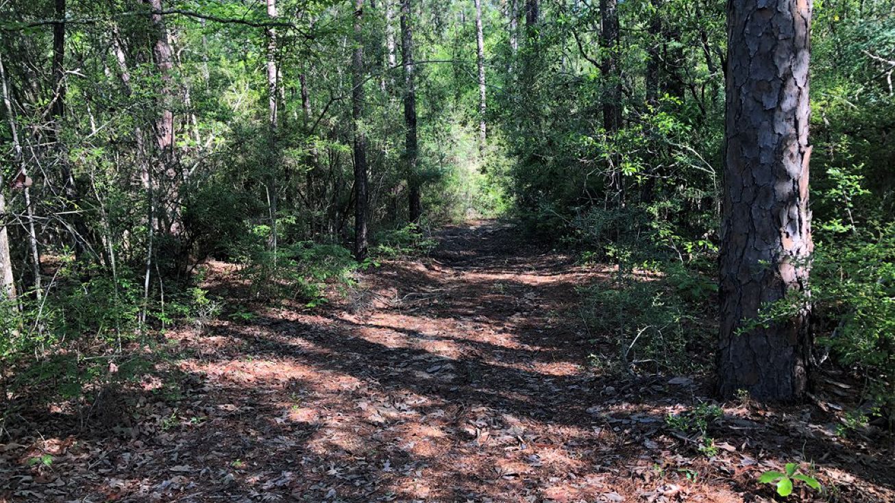 NHN Bear Dr, Carriere, MS 39426 | Crexi.com