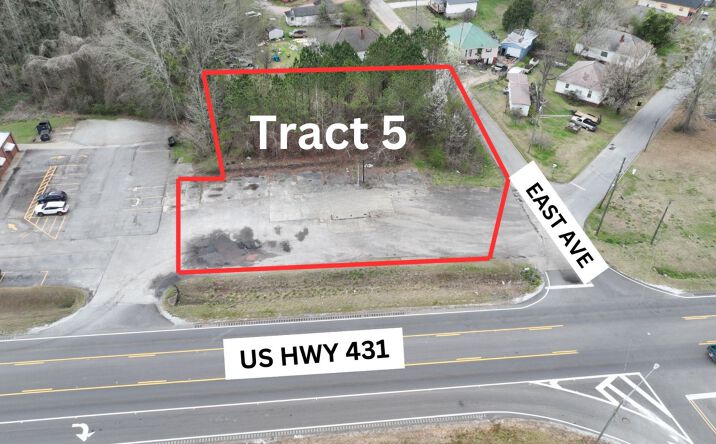 Tract 5 US Highway 431, Roanoke, AL 36274 | Crexi.com