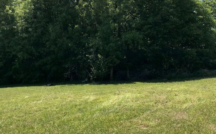 109 Shore Crest Circle, Carriere, MS 39426 | Crexi.com