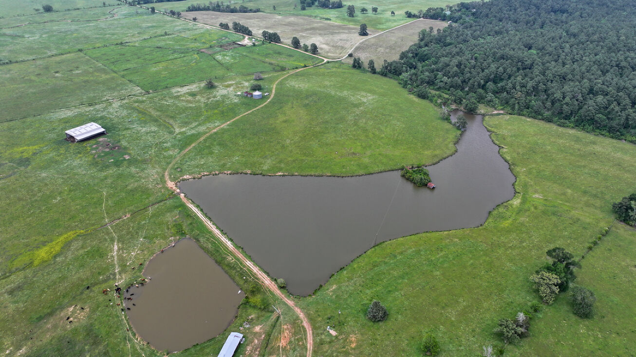 000 County Road 3340, Crockett, TX 75835 | Crexi.com
