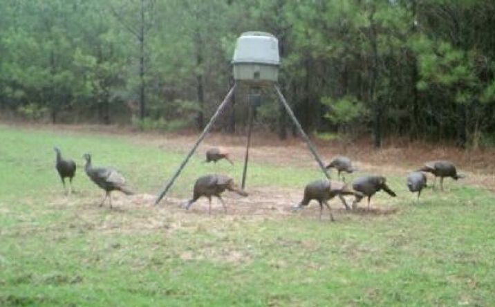 0 Moonlight Road, Jones, AL 36749 | Crexi.com