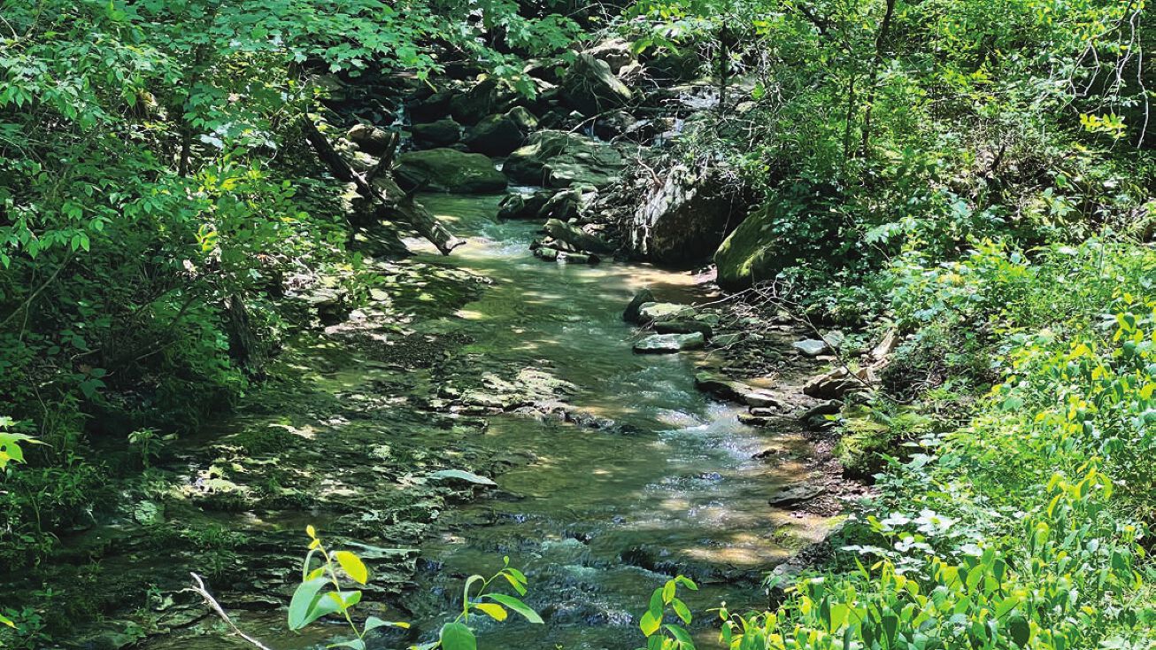 Jasper Retreat, Bon Wier, AR 75928 | Crexi.com