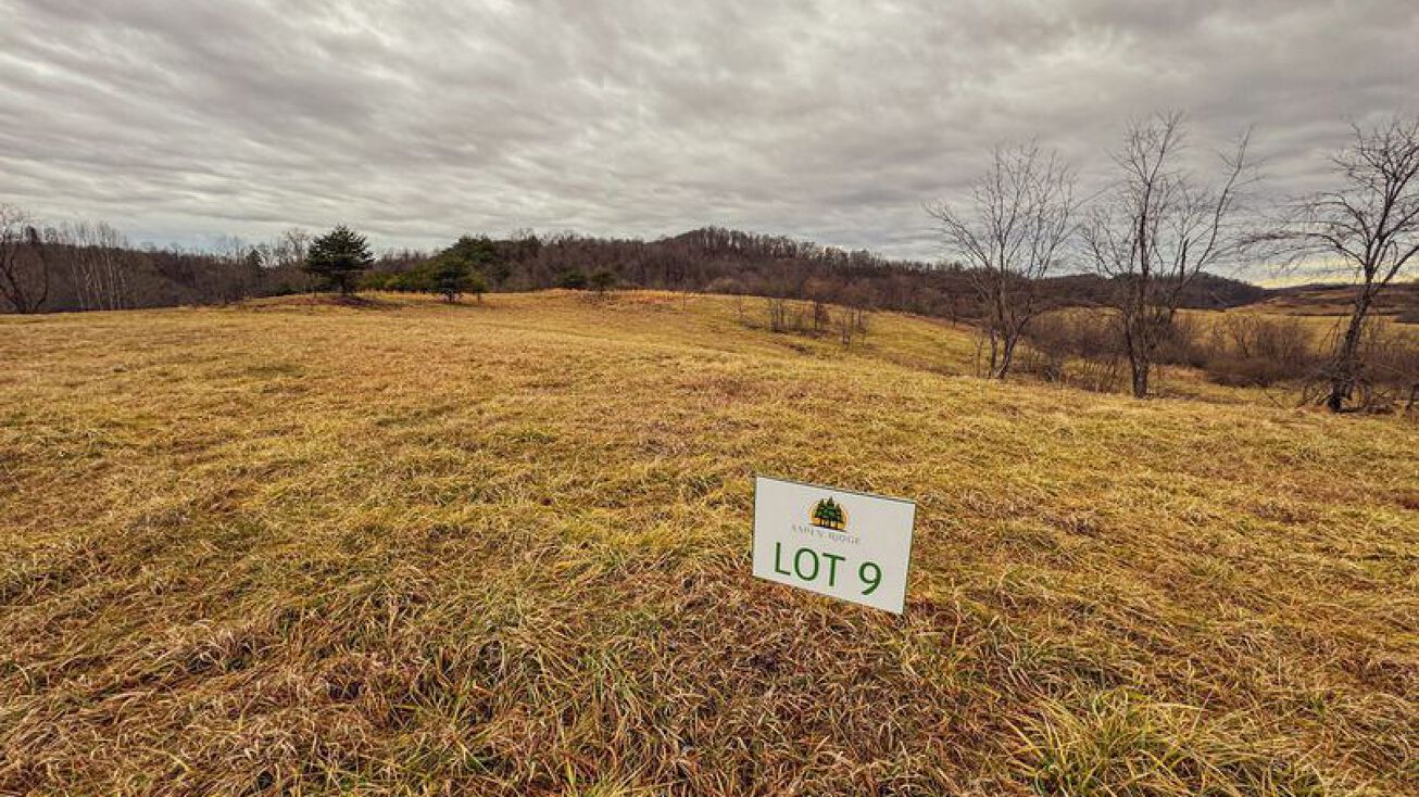 0 Spruce Fork Rd, Lot 9, Buckhannon, WV 26201 | Crexi.com