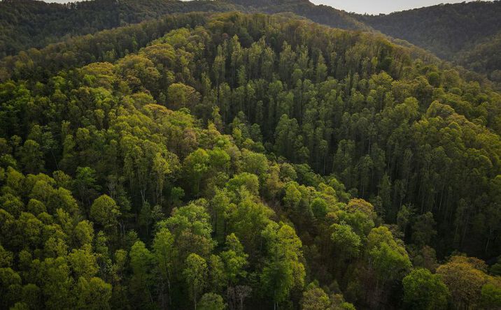 Bull Run Rd, Parsons, WV 26287 | Crexi.com