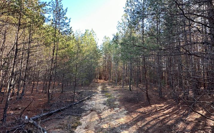 000 Benefield Farm Rd, Haleyville, AL 35565 | Crexi.com