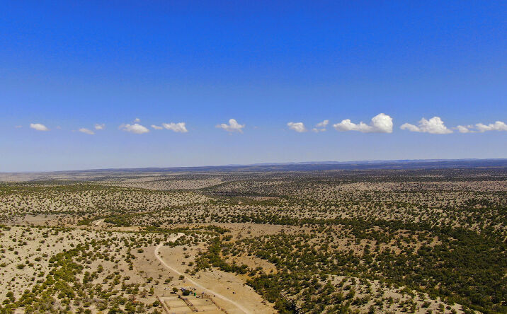 xxx Road Queen New Mexico, Queen, NM 88220 | Crexi.com