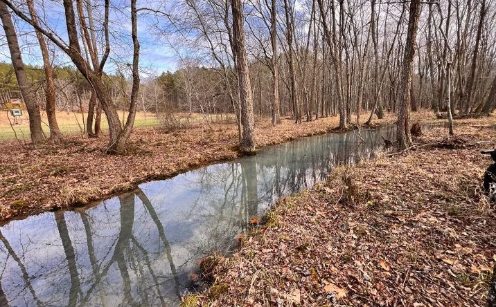 Mallory Cemetery Rd, Hamlin, KY 42076 | Crexi.com