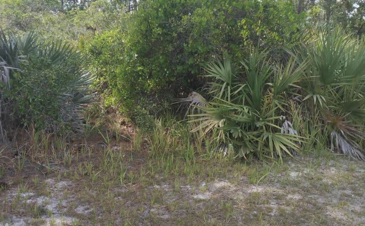 Unknown Unknown, Cocoa, FL 32926 | Crexi.com