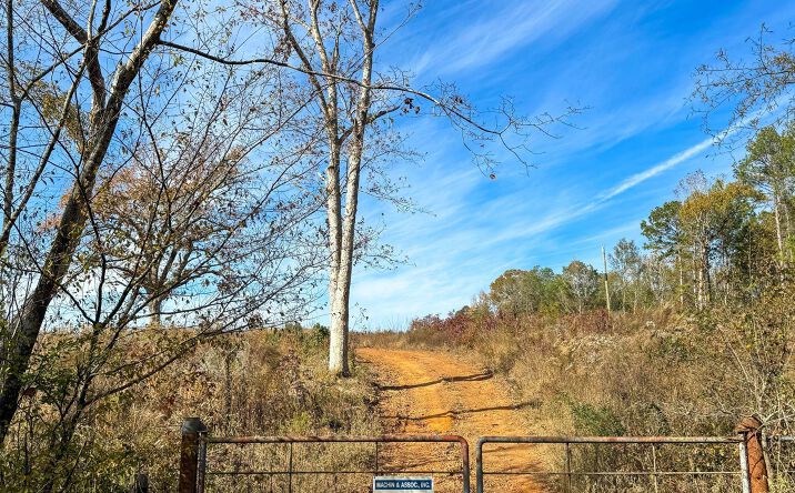 0001 Liberty Rd, Smithland, TX 75657 | Crexi.com