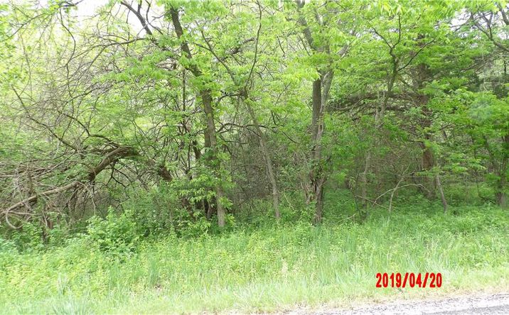 7266 NW State Route FF Highway, Adrian, MO 64720 | Crexi.com