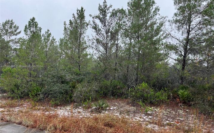 3330 LIANE (AKA PINE KNOLL) ROAD, Other City - In The State Of Florida ...