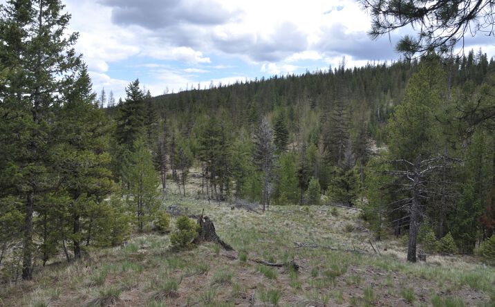 265 Hubbart Dam Road, Marion, MT 59925 | Crexi.com