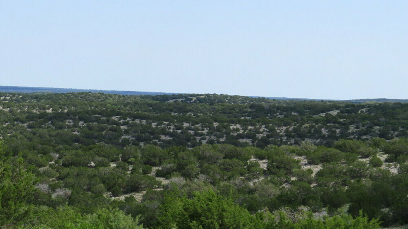 County Rd 450, Rocksprings, TX 78880 | Crexi.com