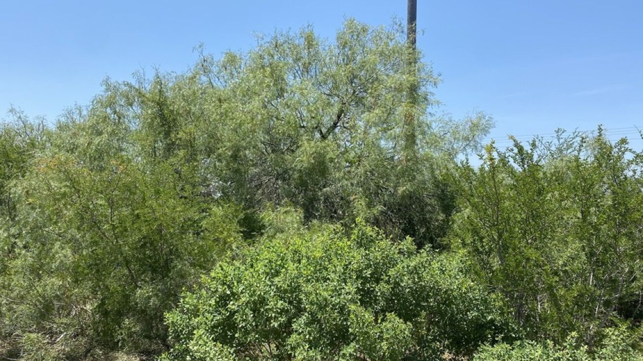 44 Ranch North, Benavides, TX 78341 | Crexi.com