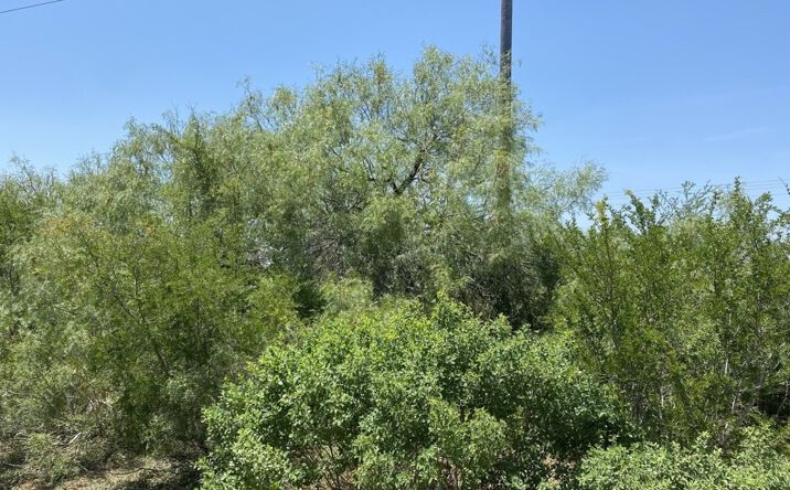 44 Ranch North, Benavides, TX 78341 | Crexi.com