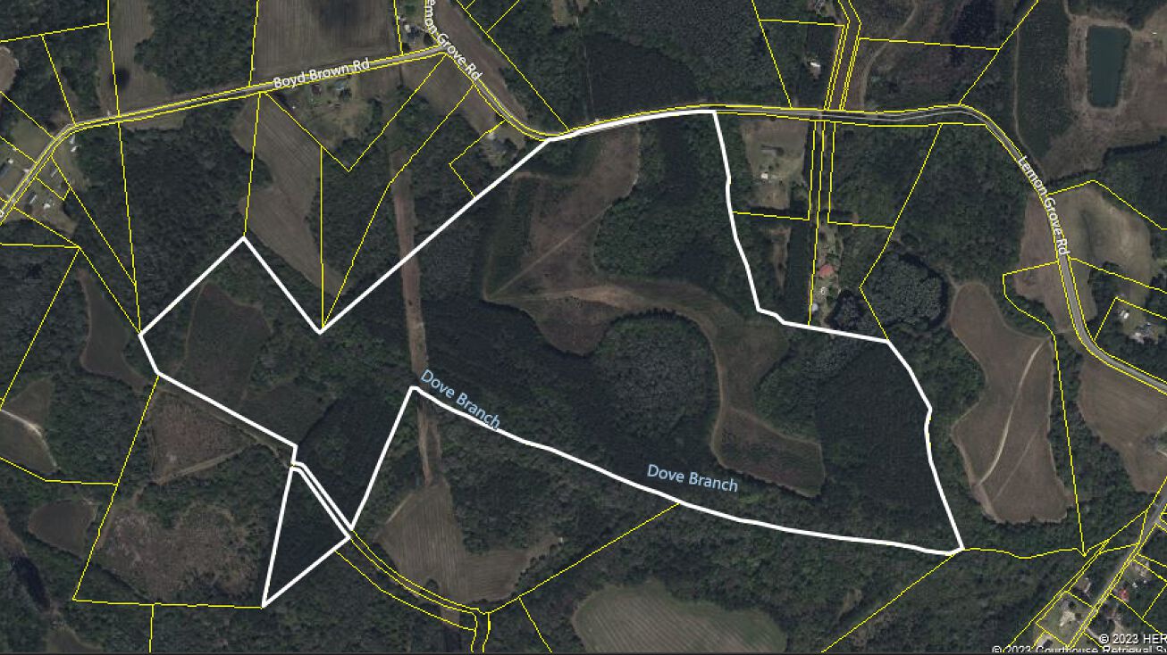 Lemon Grove Rd, Saint George, SC 29477 | Crexi.com