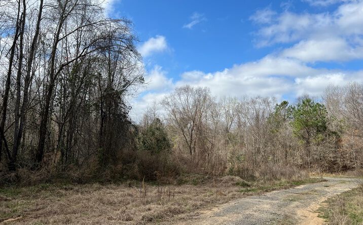 Bellflower Rd, Dublin, GA 31021 | Crexi.com