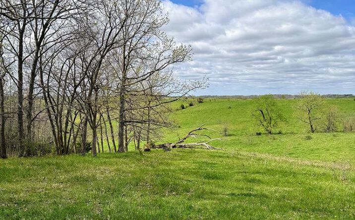 Persimmon Trail, Novinger, MO 63559 | Crexi.com