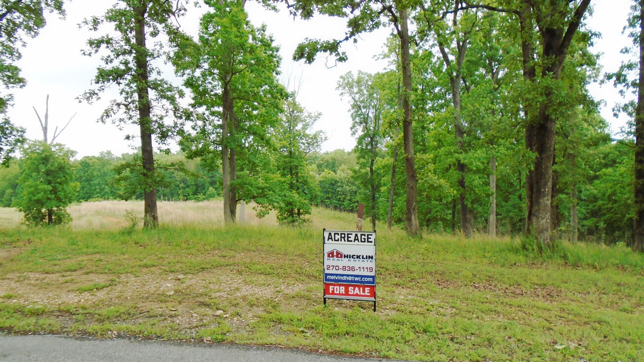 Lighthouse Cay, Grand Rivers, KY 42045 | Crexi.com