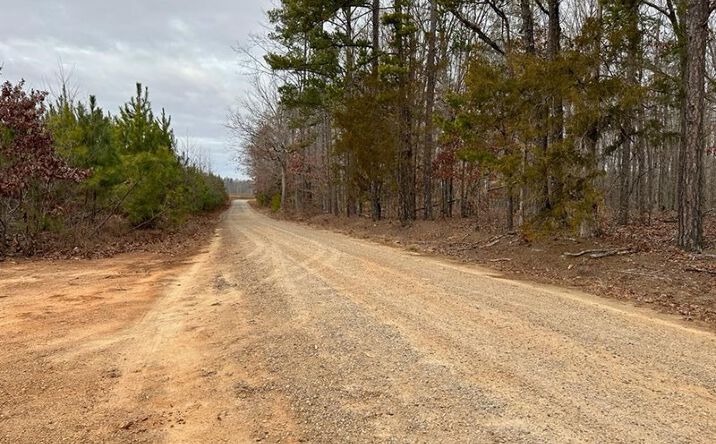 Bible Way Rd, Victoria, VA 23974 | Crexi.com