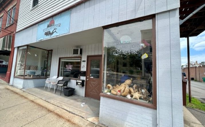 125 MAIN ST Luzerne PA 18709-1266 APN: 41-G9NE1-13A-009 | Crexi.com