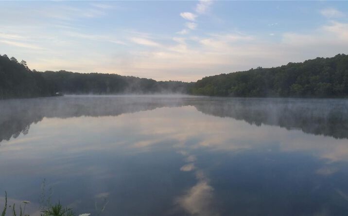 Highway E, Lowndes, MO 63951 | Crexi.com