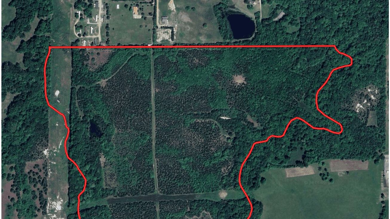 0 US Highway 80 East, Gallion, AL 36742 | Crexi.com