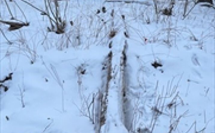 Arthur Pease Rd, Middlefield, MA 01243 | Crexi.com