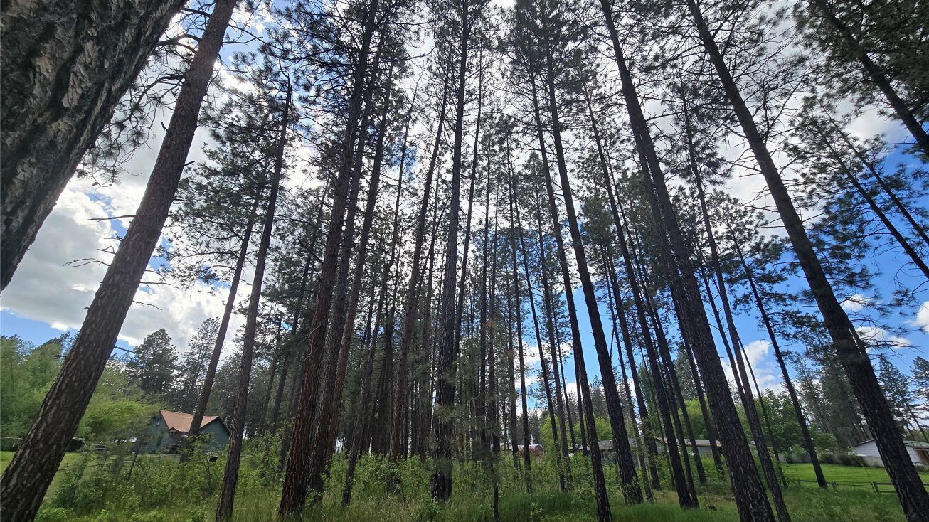 NHN Leanin Tree Lane, Pablo, MT 59855 | Crexi.com