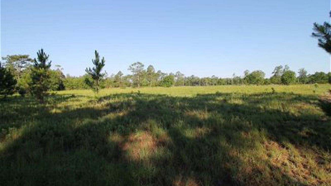 3409 Lakeland Hwy, Valdosta, GA 31605 | Crexi.com